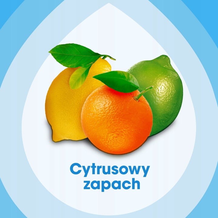 Czyszczenie wielofunkcyjne PRONTO Multi Surface Clean Spray Opinie ...